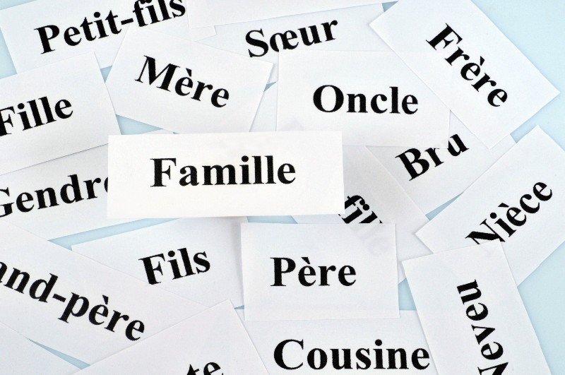 Avocat filiation Lyon, reconnaissance de paternité Mions